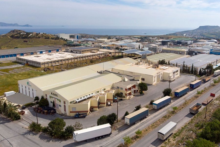 ΑΛΜΑΤΩΔΗΣ ΑΝΑΠΤΥΞΗ ΤΗΣ ΑΛΟΗ ΒΕΡΑ ΕΛΛΑΣ